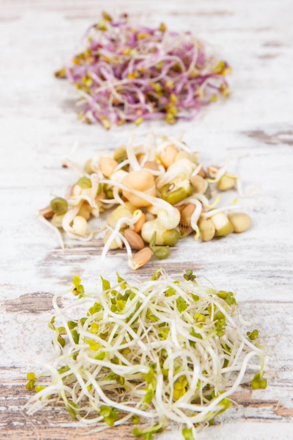 Nutritious Different Sprouts As Source Vitamins and Minerals. Healthy ...