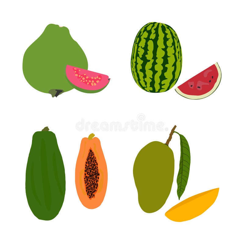 Nutritious Fruit Vector Avatar Art Stock Vector - Illustration of fruit ...