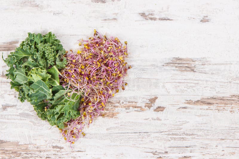 Kale Sprouts in Shape of Heart As Source Natural Vitamins and Minerals ...