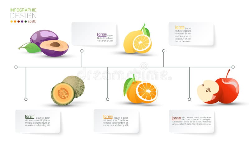 Nutritive Value Vitamin of Fruits Infographic Stock Vector ...