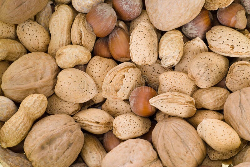 Working for peanuts stock image. Image of dried, salary - 1252821