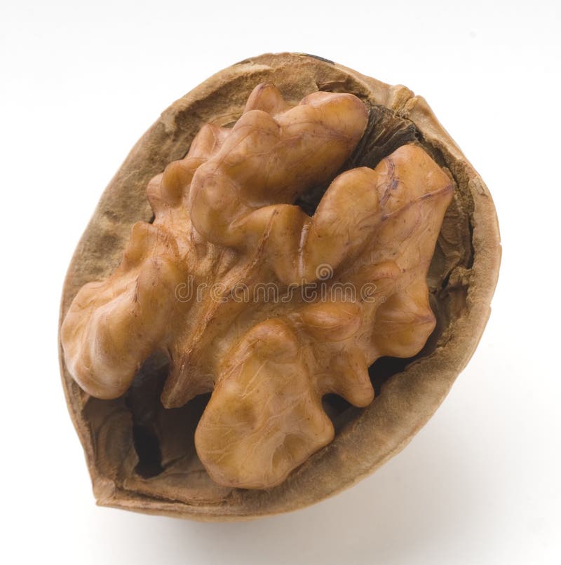 Nut 1 stock photo. Image of hard, food, caloric, calories - 265854