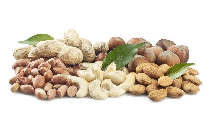 Group of nuts stock photo. Image of white, food, health - 18439488