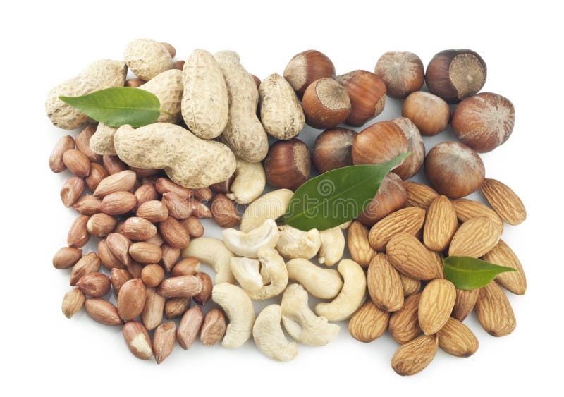 Nuts collection stock photo. Image of background, collection - 7542736