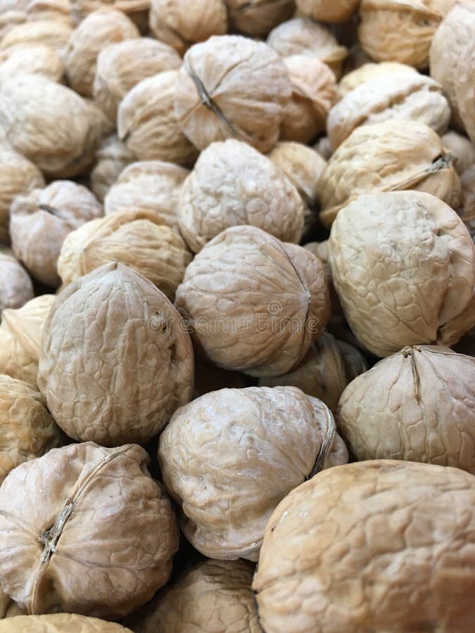 Many Raw Unprocessed Nutshells in a Close Up Stock Photo - Image of ...