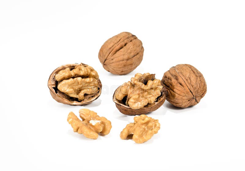 Nuts stock photo. Image of macro, husks, hardiness, healthy - 28424664