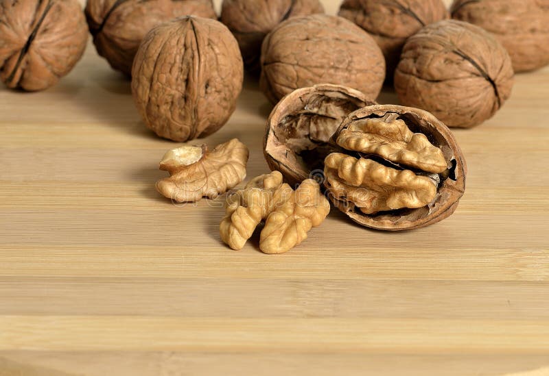 Nuts stock photo. Image of macro, husks, hardiness, healthy - 28424664