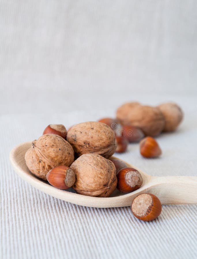 Nuts stock image. Image of closeup, hazelnuts, autumn - 28843457