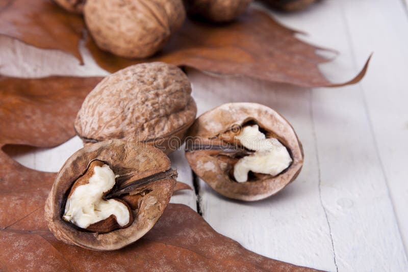 Nuts stock image. Image of nuts, ingredients, autumn - 37511655