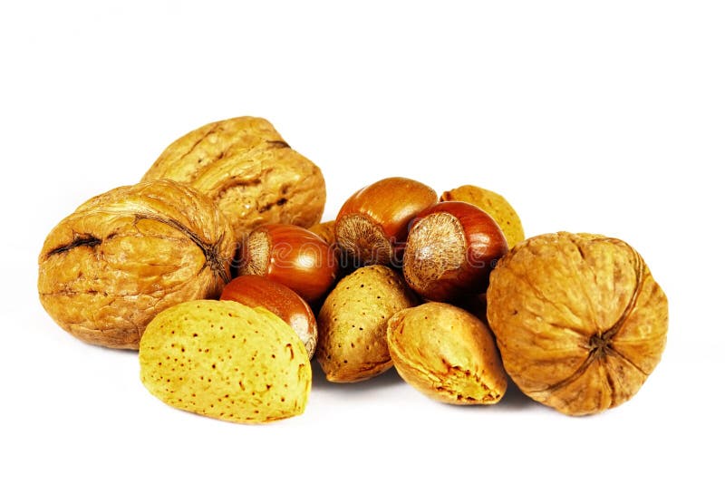 Nuts stock photo. Image of mixture, snack, hazelnut, nuts - 4470794