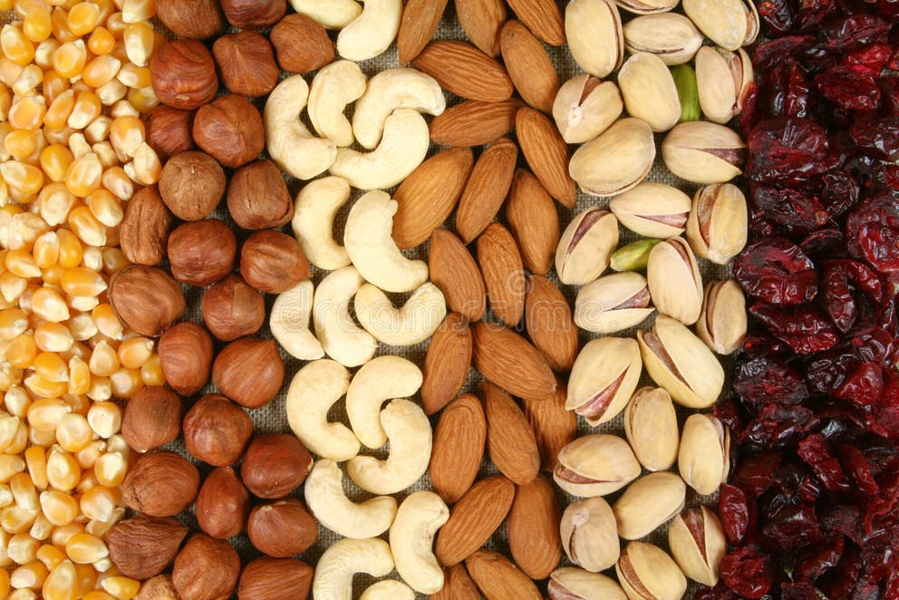 Nuts stock image. Image of corn, texture, textured, hazel - 7517519