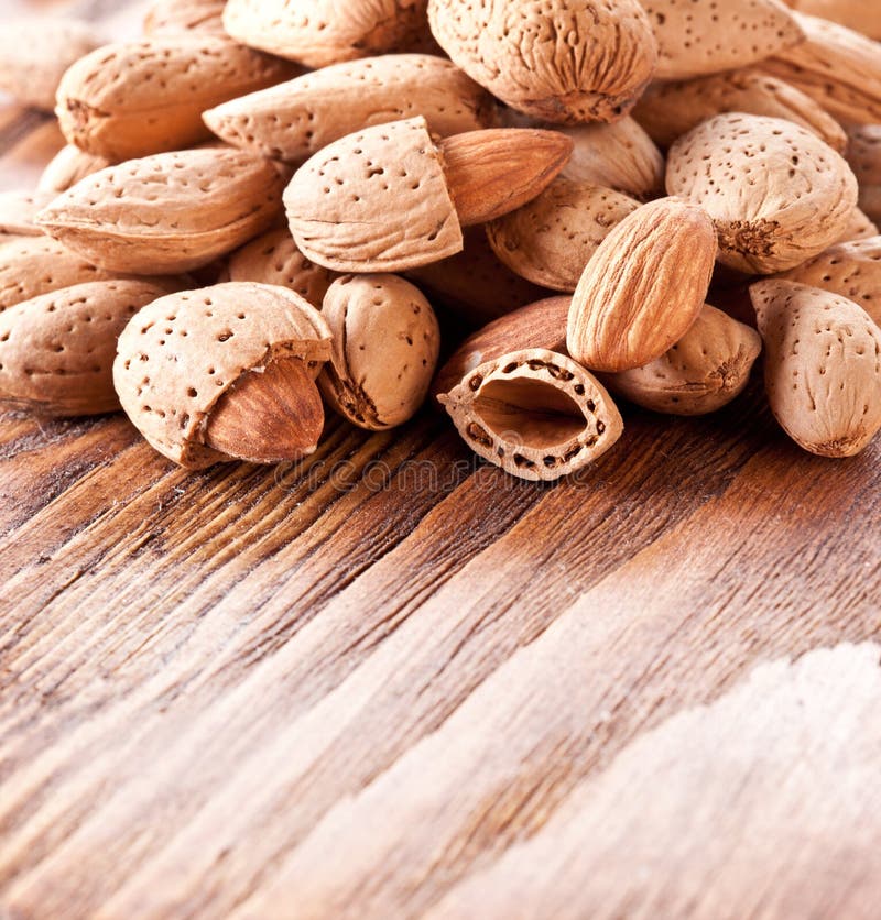 Sage stock image. Image of grass, perfume, plant, perfumed - 21745847