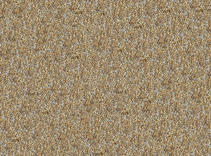 Nuts Almonds Set of Kernels Texture of Shells of Stones on the Beach ...