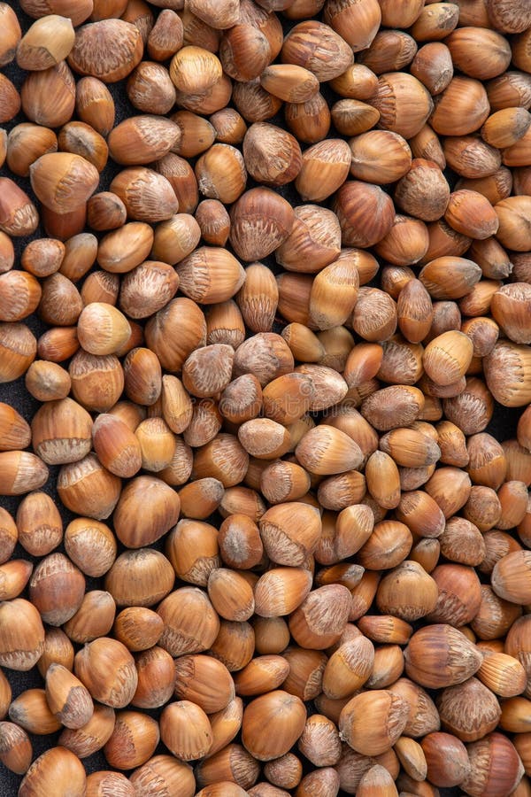 Nuts Background. Hazelnut Food Stock Image - Image of concept, heap ...