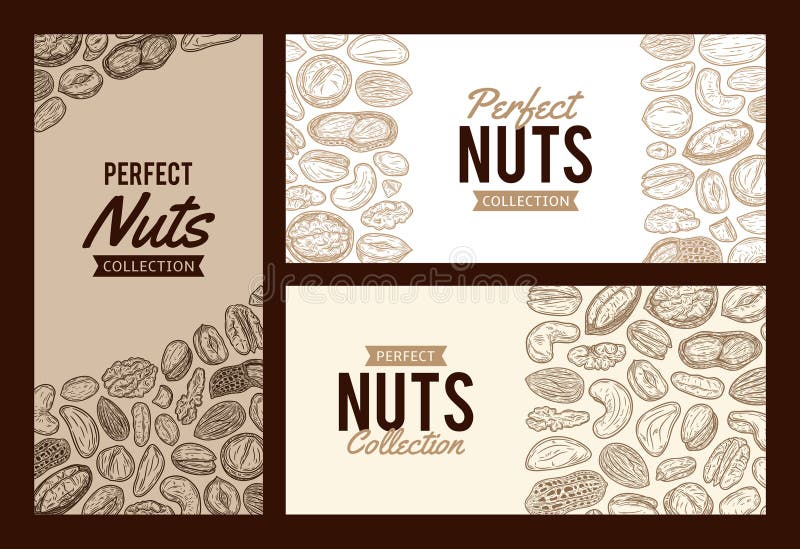 Nuts banner templates stock vector. Illustration of shell - 314903705