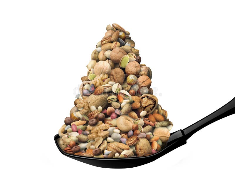 Nuts stock photo. Image of hazelnut, food, nuts, cooking - 53352416