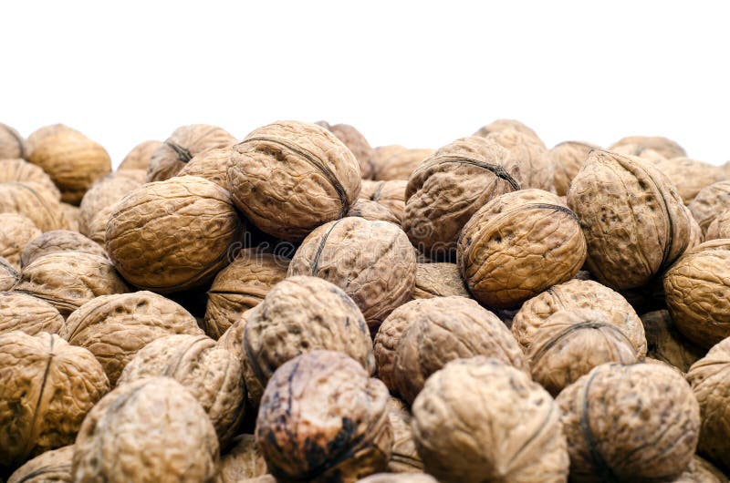 Nuts stock photo. Image of vegetables, nuts, cereals - 32272262