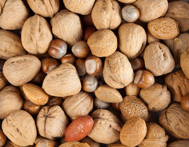 Nuts in a bowl stock photo. Image of hazel, walnuts, almonds - 20803312