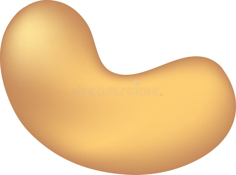 Vector Cashew Nuts Clipart Stock Illustrations – 67 Vector Cashew Nuts ... Vector Cashew Nuts Clipart Stock Illustrations – 67 Vector Cashew Nuts ...