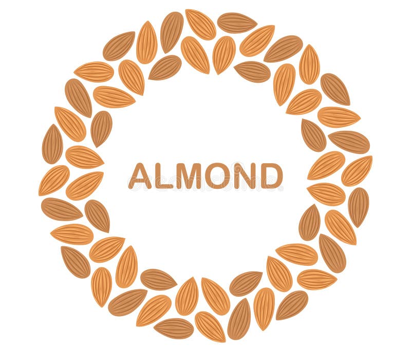 Nuts Circle Frame. Round Almond Border. Flat Vector Illustration ...