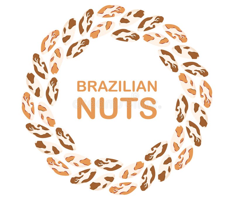 Nuts Circle Frame. Round Brazilian Nut Border. Flat Vector Illustration ...