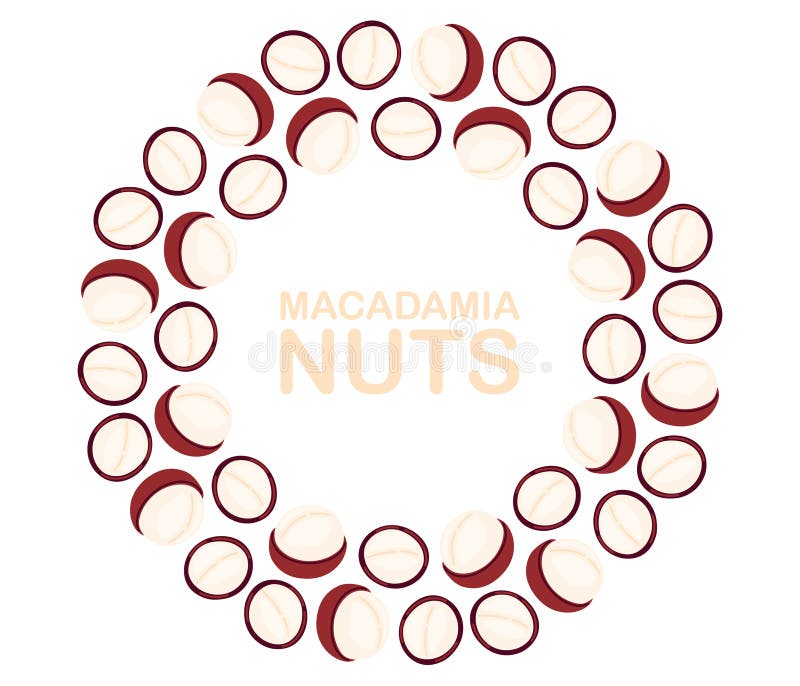 Nuts Circle Frame. Round Macadamia Nut Border. Flat Vector Illustration ...