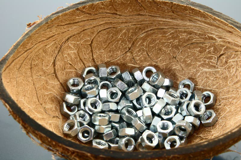 Nuts in the coconut shell stock image. Image of manufacture - 10789579