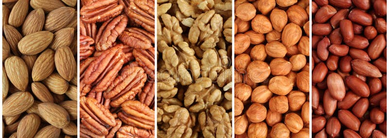 Nuts Collage, Long Banner – Almonds, Pecan Nuts, Walnuts, Hazelnuts ...