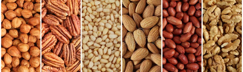 Nuts Collage, Long Banner â€“ Hazelnuts, Pecan Nuts, Cedar Nuts ...