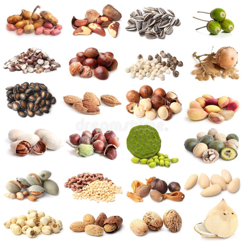 Nuts collection. stock photo. Image of fiber, cuisine - 13643036