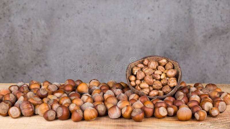 Nuts stock image. Image of nutrition, nutshell, food - 69418599