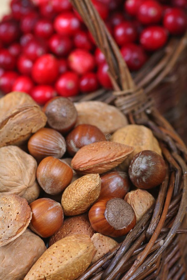 Autumn Berries Fall Harvest Stock Photo - Image of natural, christmas ...