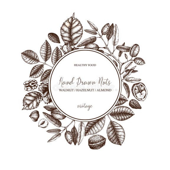 Nutshell Template Stock Illustrations – 1,295 Nutshell Template Stock ...