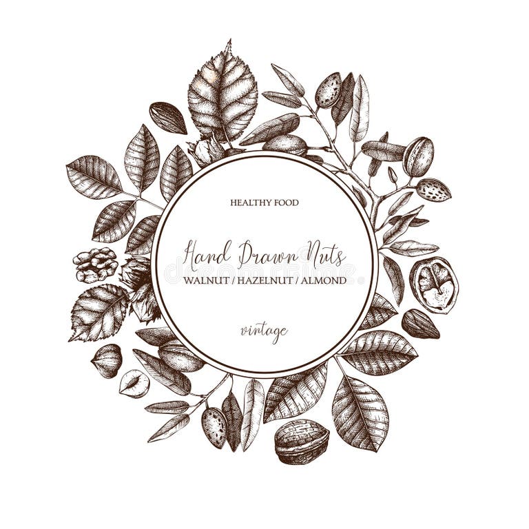 Nutshell Template Stock Illustrations – 1,295 Nutshell Template Stock ...