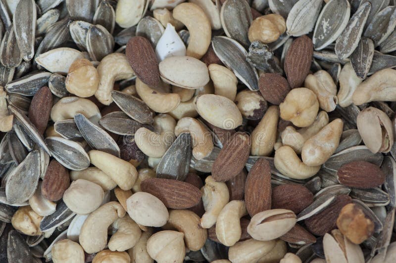 Nuts stock photo. Image of white, nature, nuts, black - 45517224