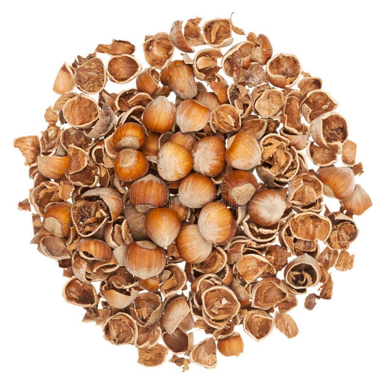 Empty Nutshells Photos - Free & Royalty-Free Stock Photos from Dreamstime