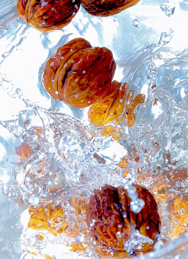 Nuts Fall To Water Picture. Image: 2210605