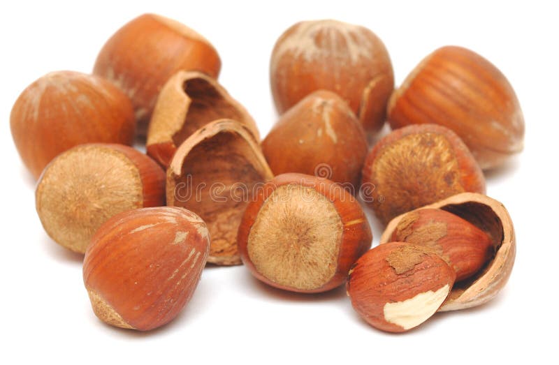 Nuts a filbert in a shell stock image. Image of hazelnut - 19101921