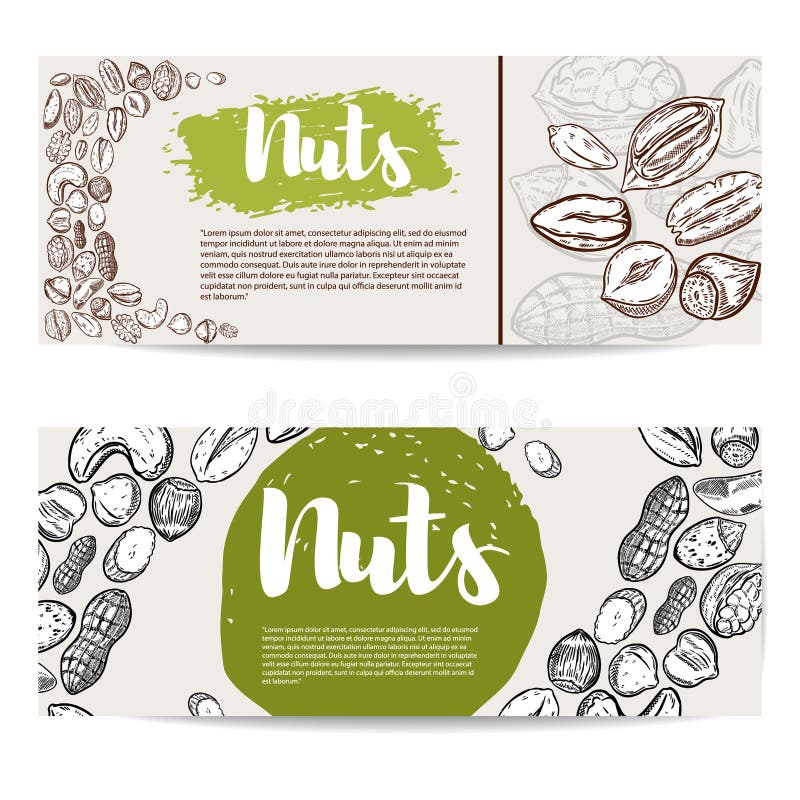 Nuts. Flyer Template with Border from Nuts Illustrations. Design ...