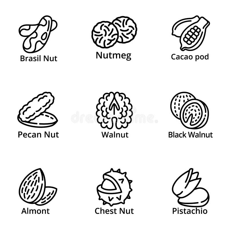 Nuts Food Icon Set, Outline Style Stock Vector - Illustration of celiac ...