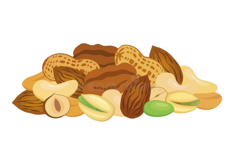 Pile of Mixed Nuts Icon Vector Illustration Stock Vector - Illustration ...