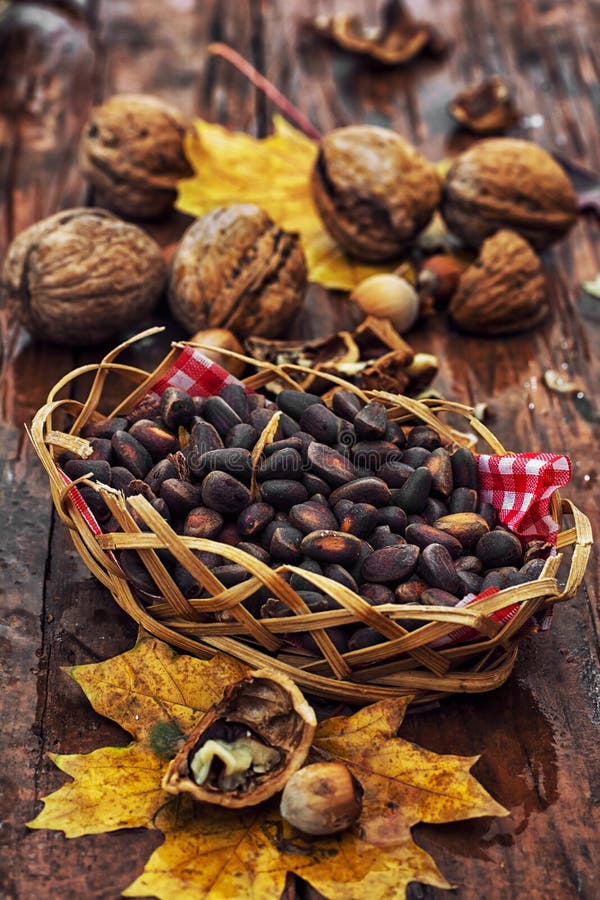 Nuts stock photo. Image of pine, nuts, leaf, ripe, shell - 45919760