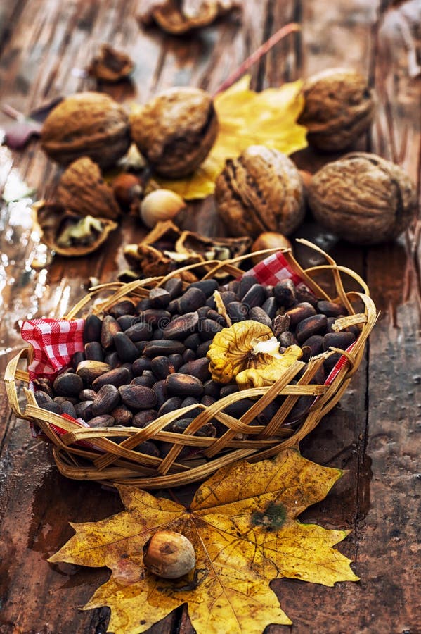 Nuts stock image. Image of walnuts, ripe, basket, hazelnuts - 45919763