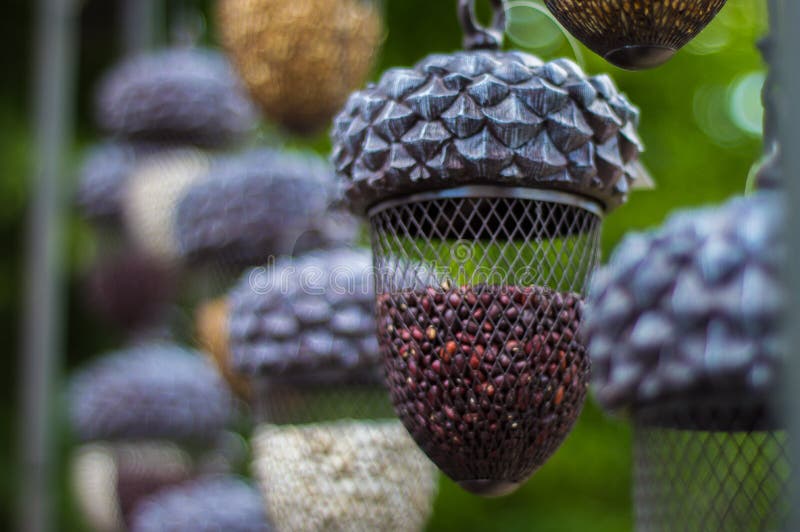 Nuts in nuts stock photo. Image of nphotographed, look - 119595244