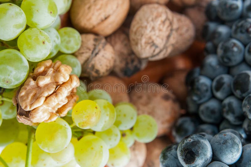 Nuts and grapes stock image. Image of beans, walnut, detail - 63297283