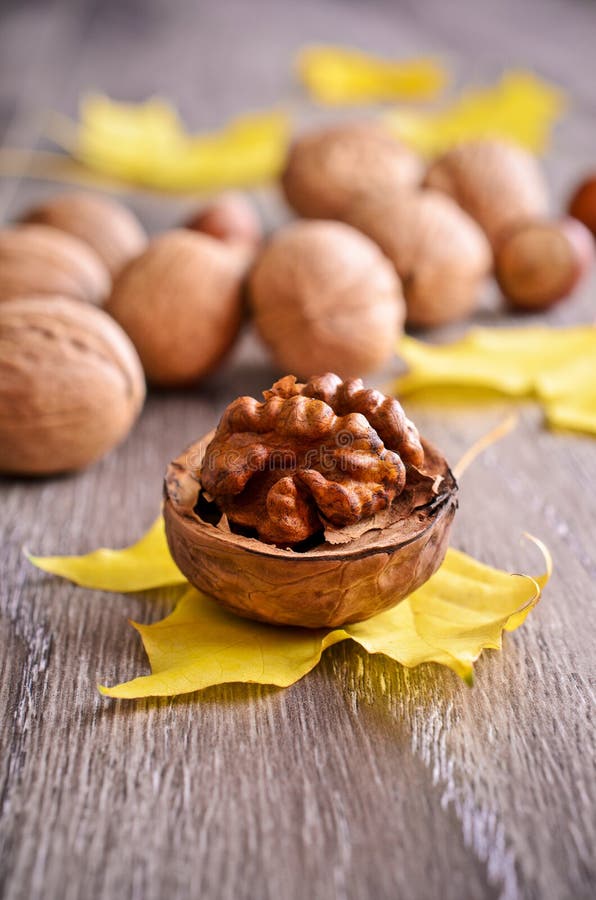 Nuts stock photo. Image of protein, maple, edible, hazel - 44900230