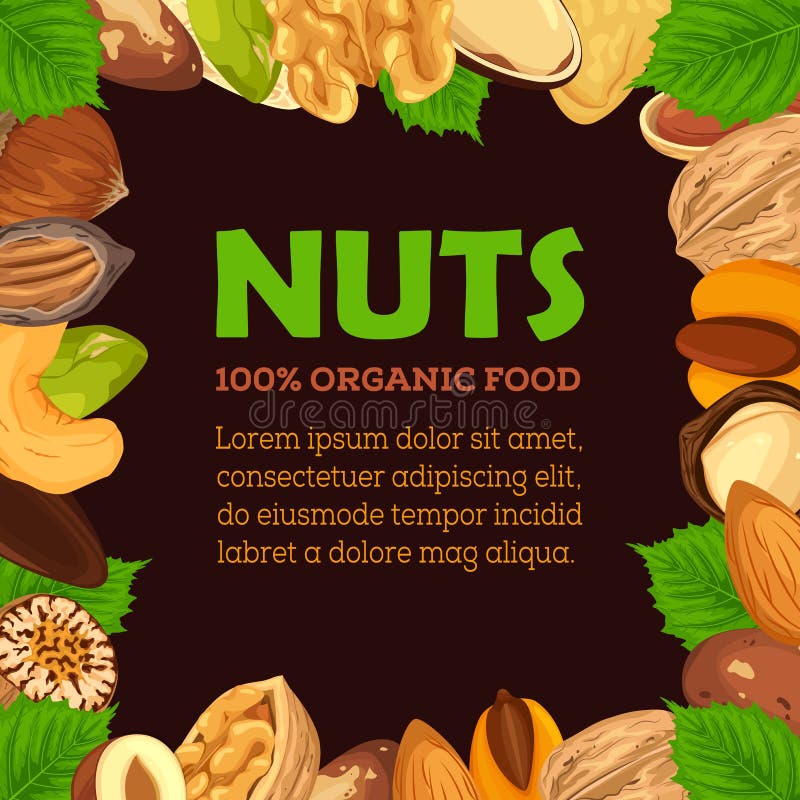 Nuts with Hard Shell and Kernel Stock Vector - Illustration of ...