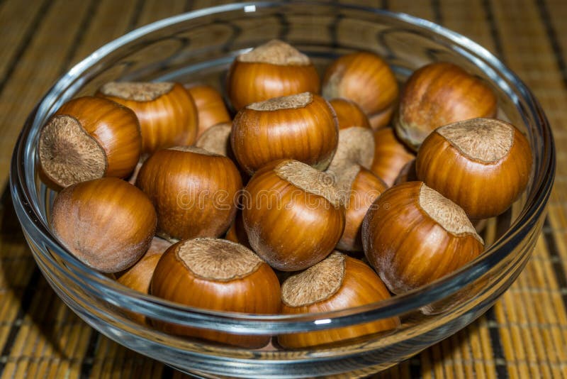 892 Hazel Shells Stock Photos - Free & Royalty-Free Stock Photos from ...