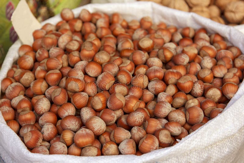 Nuts, hazelnuts in bag stock image. Image of organic - 47738783