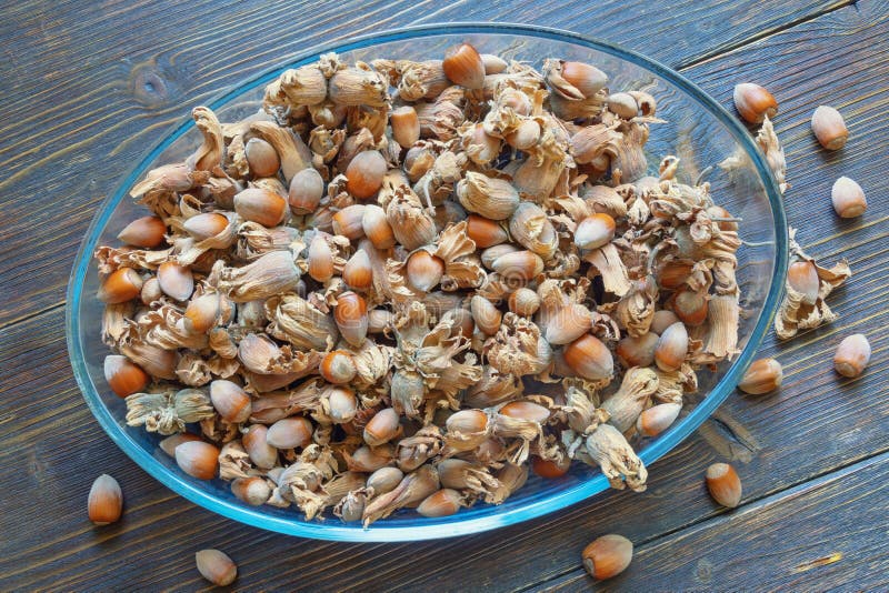 Nuts. Hazelnuts in Husk in Glass Dish Stock Image - Image of fruit ...